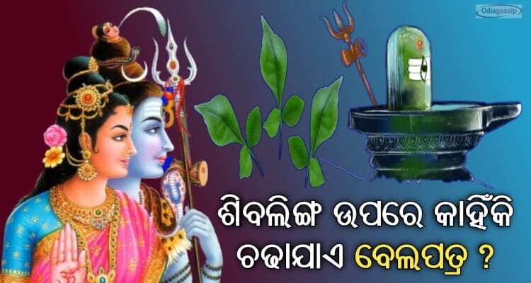 Why Bel leaves being offered to Lord Shiva know its importance
